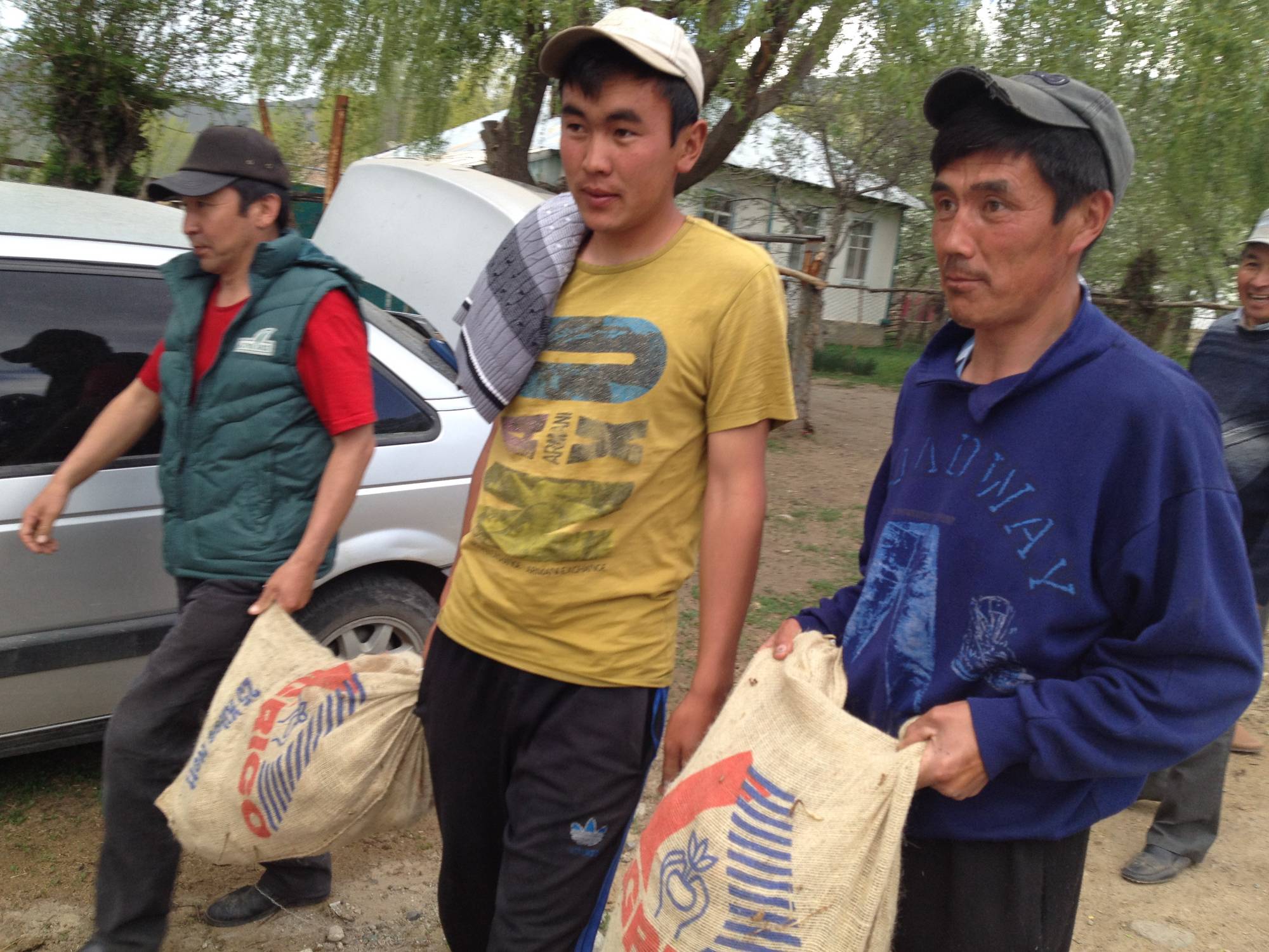 Картошка лучше всех, картошку ждет успех! - Agrolead